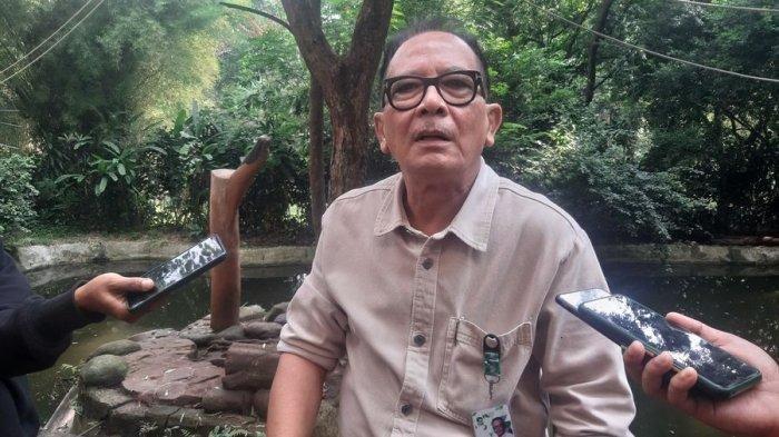 Penetapan Tersangka Dugaan Korupsi Indofarma, Prof I Gde Pantja Astawa Buka Suara - Tribun-bali.com