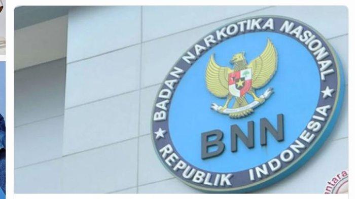 Info Seleksi Pppk Tenaga Kesehatan Bnn 2023 Cek Formasi Syarat