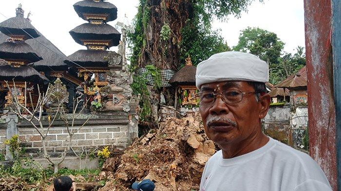 Dahan Pohon Keramat Ratusan Tahun di Bangli Tumbang - Tribun-bali.com