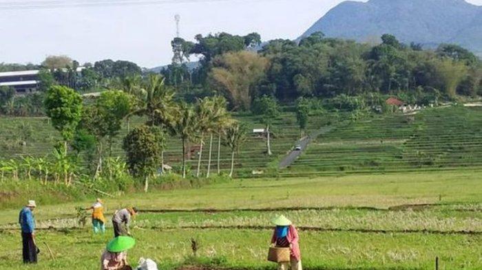 Kategori Calon Debitur KUR Mandiri 2023, Termasuk UMKM Gabungan ...