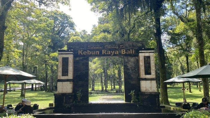 Rekomendasi Kunjungan Wisata di Bedugul, Nikmati Keasrian Kebun Raya ...