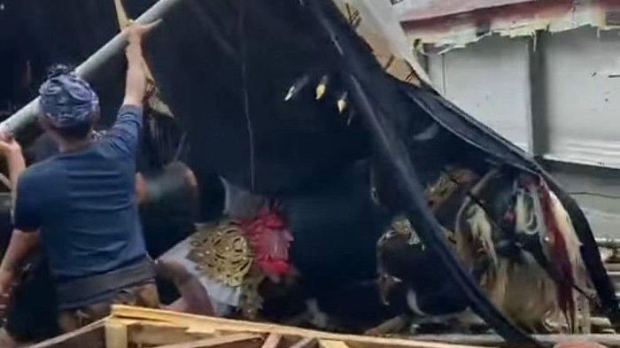 DIGUYUR Hujan Deras dan Angin Kencang, Ogoh-ogoh ST Windhu Karya Badung ...