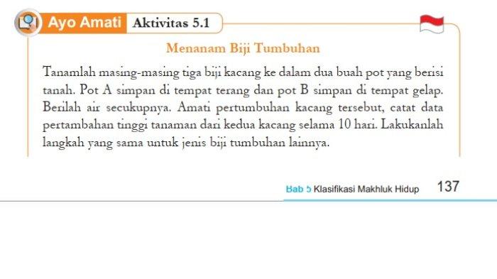Jawaban Ayo Amati: Aktivitas 5.1, Kunci Jawaban IPA Kelas 7 Halaman 137 138 Kurikulum Merdeka ...