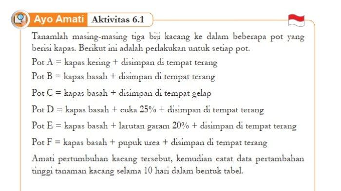 Jawaban Ayo Amati: Aktivitas 6.1, Kunci Jawaban IPA Kelas 7 Halaman 163 164 Kurikulum Merdeka ...