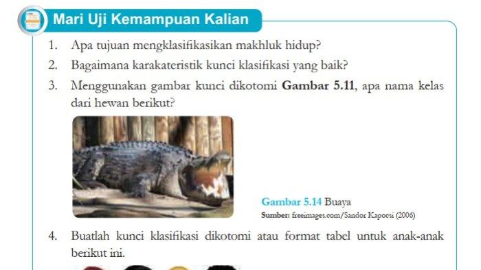Kunci Jawaban IPA Kelas 7 Semester 1 Kurikulum Merdeka Halaman 144, Klasifikasi Makhluk Hidup ...