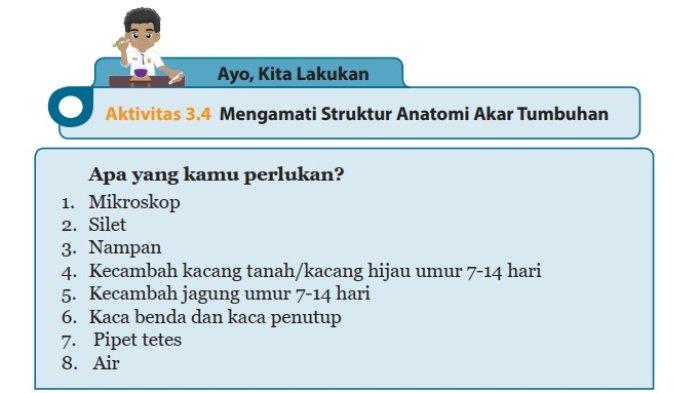 Kunci Jawaban IPA Kelas 8 Semester 1 Halaman 127 128, Ayo Kita Lakukan ...