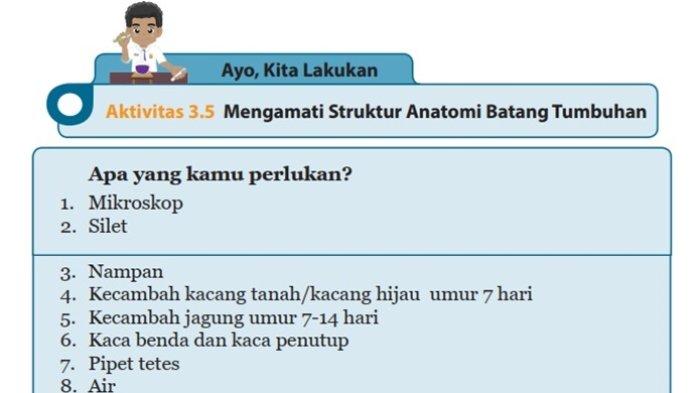 Kunci Jawaban IPA Kelas 8 Semester 1 Halaman 131 132, Ayo Kita Lakukan, Aktivitas 3.5: Batang ...