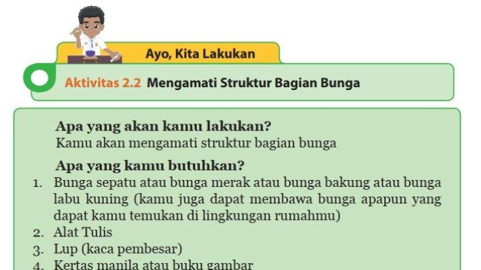 Kunci Jawaban IPA Kelas 9 Semester 1 Halaman 64 65, Ayo Kita Lakukan ...