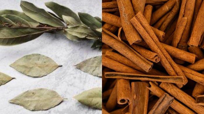 Perbedaan Kayu Manis dan Daun Kayu Manis: Mengungkap Kekhasan dan ...