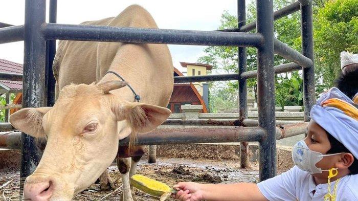 Desa Taro Tegalalang Bali Dinobatkan Jadi Objek Wisata Nusantara ...