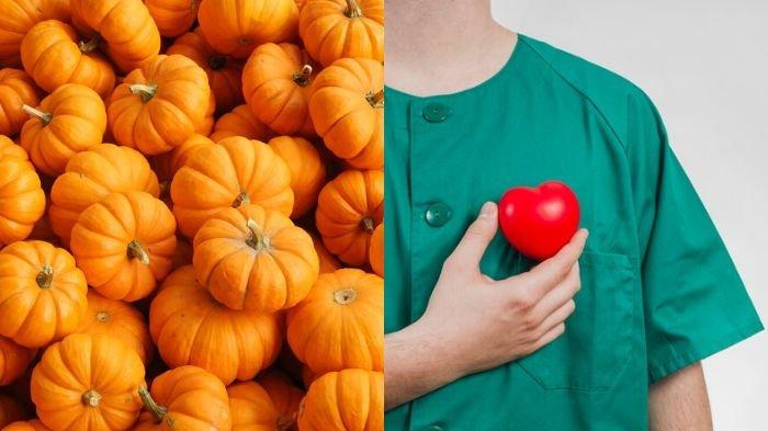 Ketahui Khasiat Rahasia Labu dalam Memelihara Kesehatan Jantung Anda ...