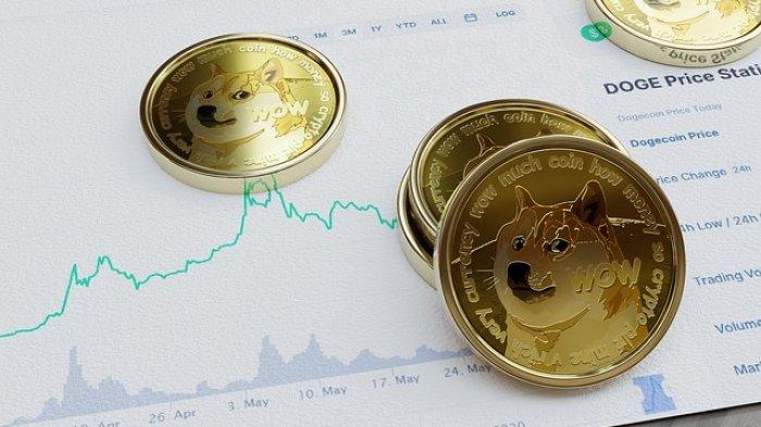 Mungkinkah Dogecoin Bullish Pada Februari 2025? Ini Nih yang Perlu Kamu ...