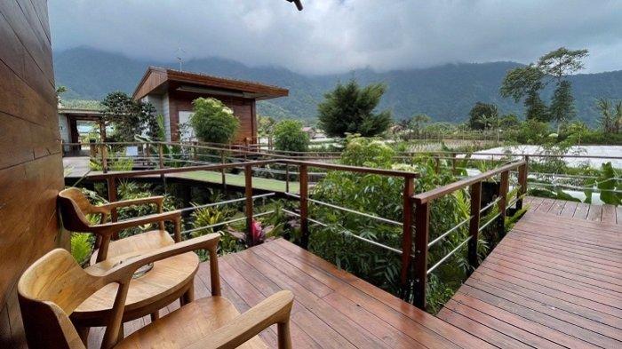 Menikmati Indahnya Gunung Batukaru Bedugul Bali di Pondanu - Tribun ...