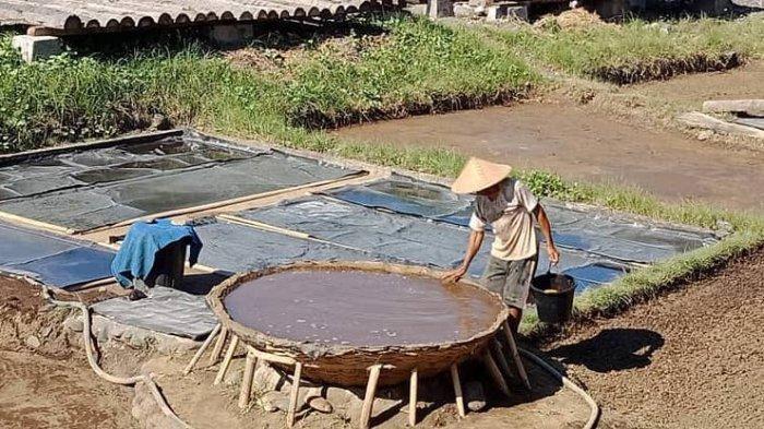 Produksi Garam Meningkat di Musim Kemarau - Tribun-bali.com