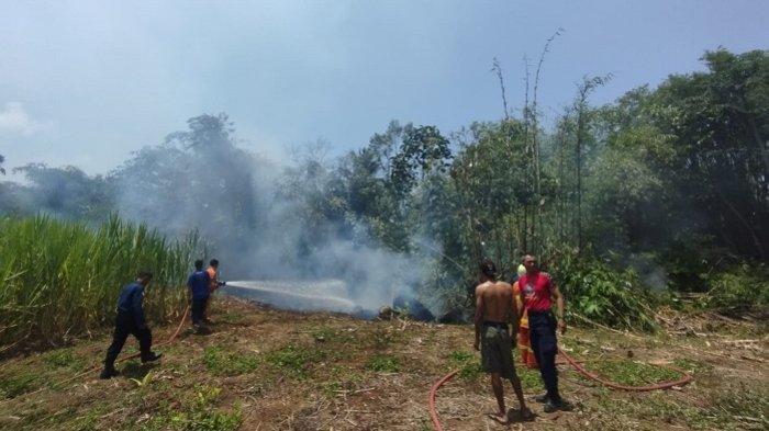 Jembrana Catat 6 Kebakaran Lahan Tahun Ini, Dipicu oleh Api Pembakaran ...