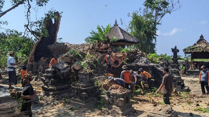 BREAKING NEWS! Pohon Kepuh Berusia Ratusan Tahun Tumbang di Pura Dalem ...