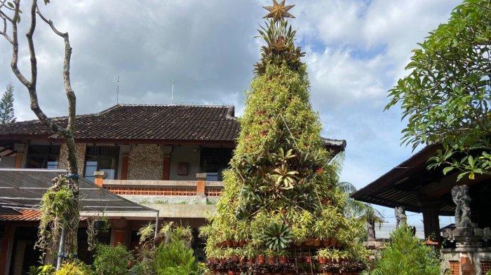 Natal di Bali, Unik! Pohon Natal Tinggi 7 Meter Dibuat Dari 800 Tanaman ...