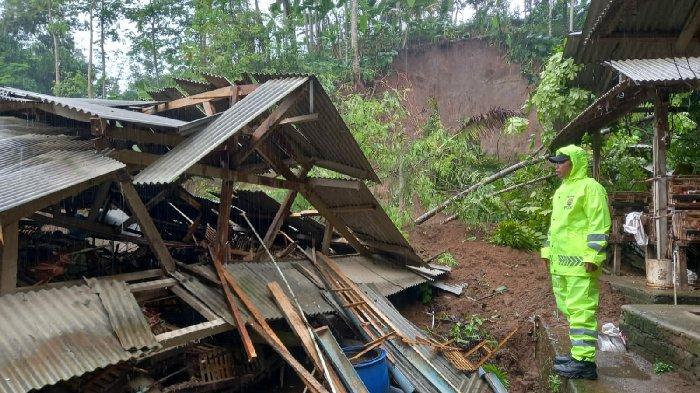 Hujan Sehari, Kabupaten Bangli Bali Dikepung Longsor dan Pohon Tumbang - Tribun-bali.com
