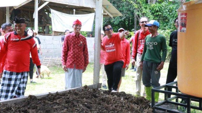 Tanaman Hias Bunga Abadi, Jadi Potensi Desa Petiga Marga Tabanan ...