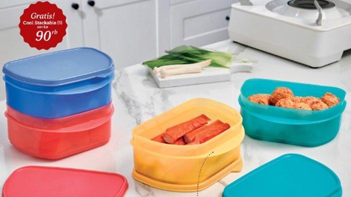 Promo Tupperware Hingga 1 November 2023 Lunch Box Summer Edition Extra ...
