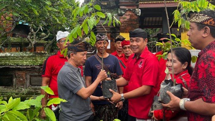 Rayakan Ultah Megawati, PDIP Gianyar Tanam 500 Pohon di Bali - Tribun ...