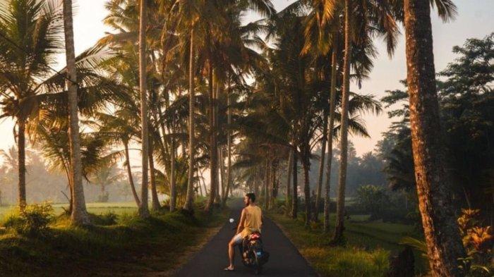 Rental Motor Bali, Honda Scoopy Mulai dari Rp 65 Ribu Per Hari, Gratis ...