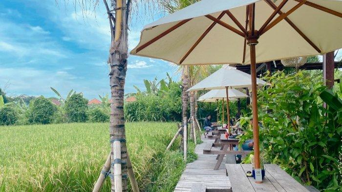 Rumka Bali, Cafe Tengah Kota Denpasar dengan View Persawahan Ubud ...
