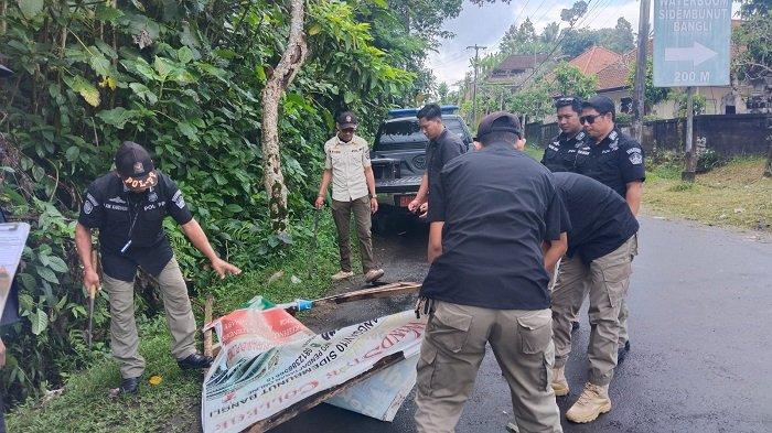 Baliho Kedaluwarsa Bacaleg Diturunkan Satpol PP Bangli - Tribun-bali.com