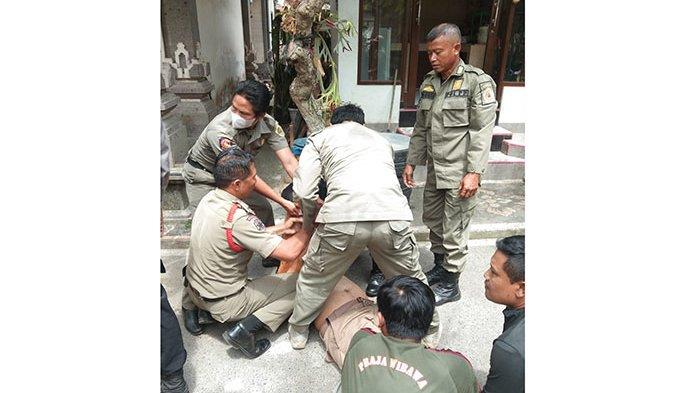 Satpol PP Gianyar Kewalahan Amankan Gung Lole, Pria yang Tiduran di Jalan Ubud Sambil Bawa Sajam ...