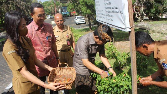 Badung Terus Ingatkan Masyarakat Manfaatkan Lahan Pekarangan Untuk Program Matanabe - Tribun ...