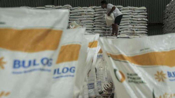 Harga Beras Masih Membengkak, Bulog Kekeh Impor Beras di Musim Panen ... Harga Beras Masih Membengkak, Bulog Kekeh Impor Beras di Musim Panen ...