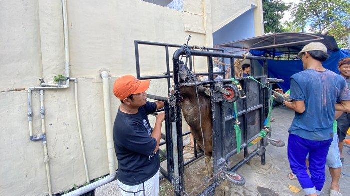 Jangan Cuci Daging Saat Akan Diolah, Ini Tips Memasak Daging Kurban ...
