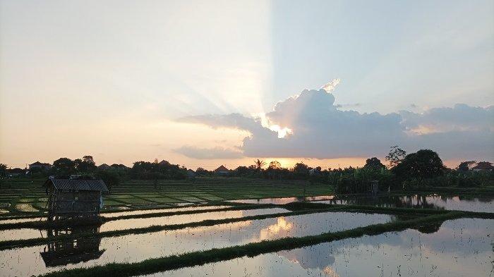 Pelestarian Subak Dapat Dilakukan Lewat Moratorium Dikawasan Serbagita ...