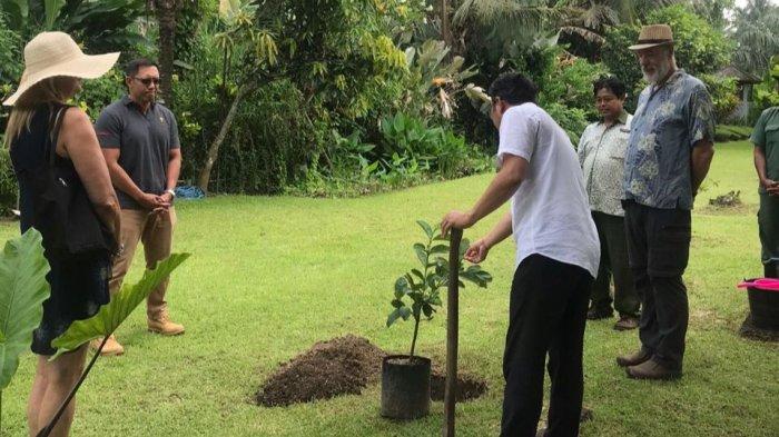 Meriahkan World Tree Day, Tamu Hotel di Ubud Ini Diajak Menanam Pohon ...