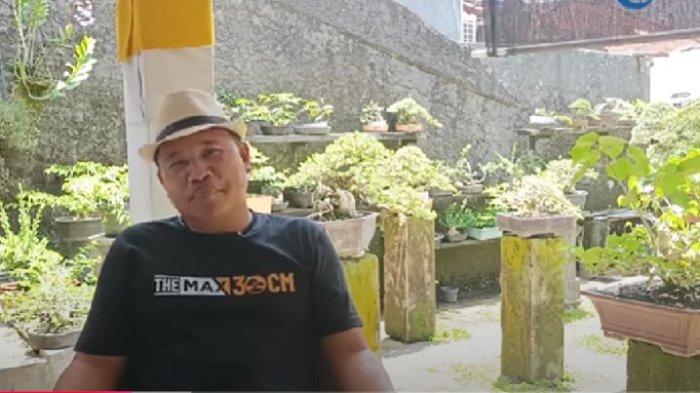 Zuka-Zuka Bali Bonsai: Dari Hobi Jadi Peluang Bisnis di Dunia Bonsai - Tribun-bali.com