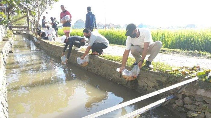 Pangkas Kenakalan Tengkulak dan Rentenir, Subak Se-Denpasar Dirikan Koperasi - Tribun-bali.com