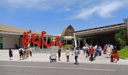 Periode Maret 2021, Trafik Penumpang di Bandara Ngurah Rai Bali Naik 68 Persen - Tribun-bali.com