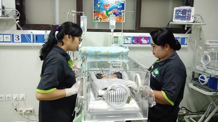 Proses Pemisahan Bayi Kembar Siam dari Buleleng Butuh Waktu Lama, Begini Kata Dokter RSUP ...
