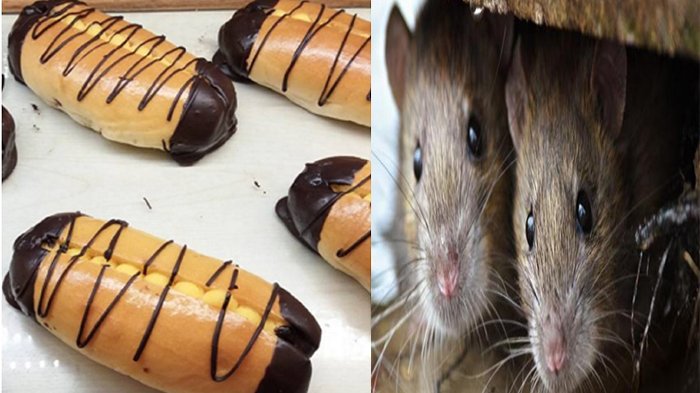 Viral! Dapur Toko Roti Terkenal Yang Juga Ada di Indonesia Ini ...