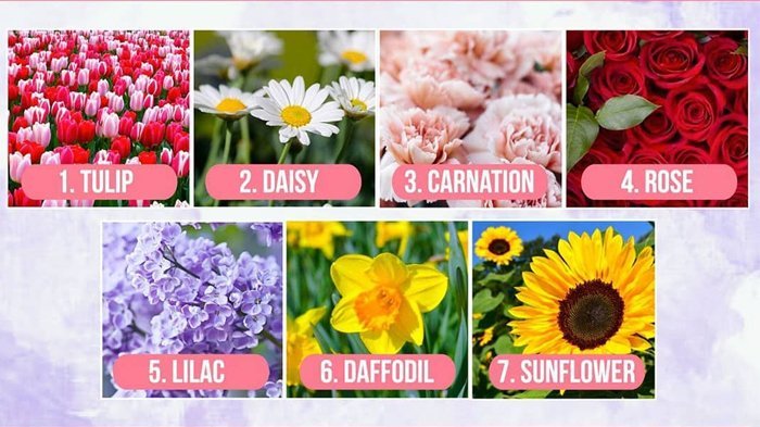 Kehidupan Cintamu Bisa Tercermin Lewat Bunga Favoritmu, Pilih Satu Dan ...
