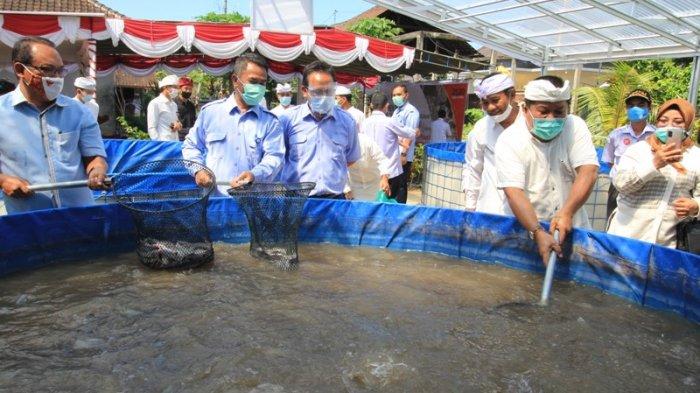 Kelompok Mina Kembang Panen Perdana Ikan Lele dengan Sistem Bioflok ...