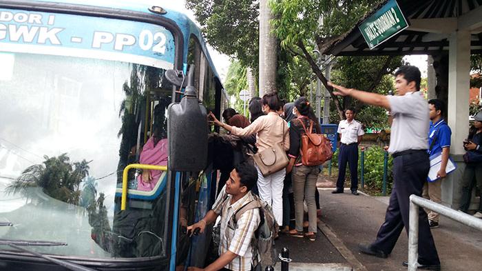 30 Bus Trans Sarbagita September Ini Layani Jalur Menuju Bandara Ngurah ...