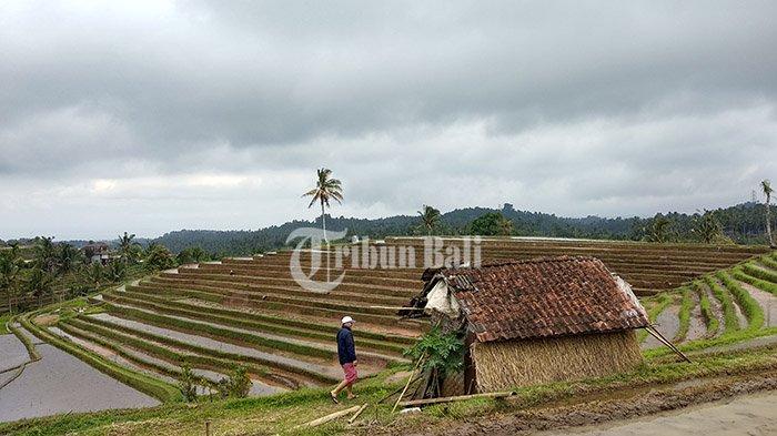 Desa Gunung Salak dan Belimbing Tabanan Akan Dikembangkan Potensinya ...