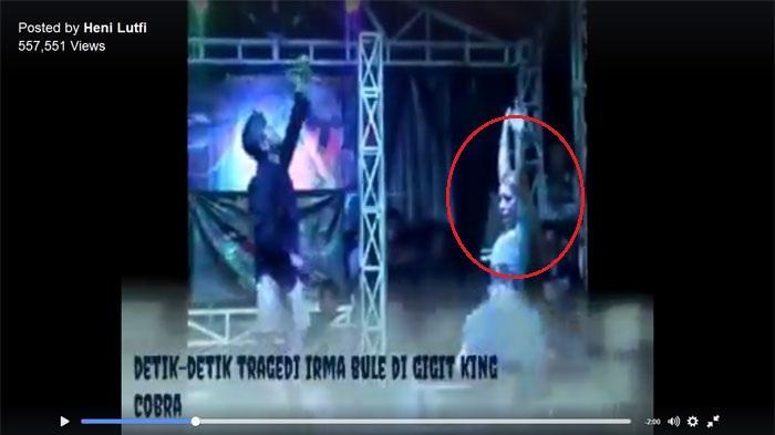 Kisah Sedih Irma Bule, Si Pedangdut yang Berani Bermain Ular - Tribun ...