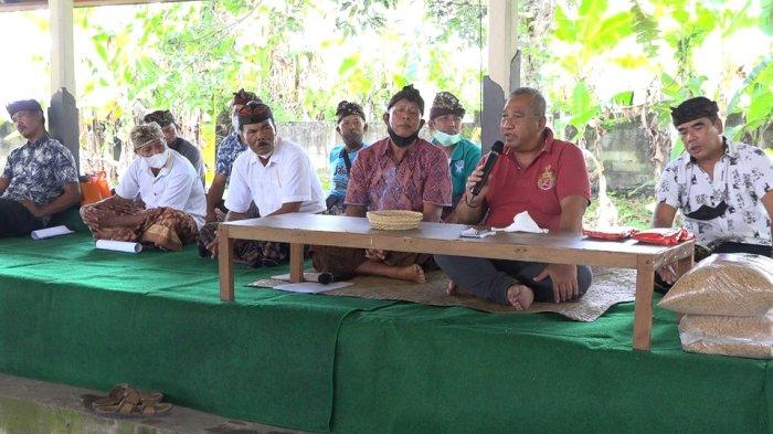 Ketua DPRD Badung Gelar Reses: Bagikan Pupuk Green & Bibit Padi Gratis di Subak Uma Desa Canggu ...