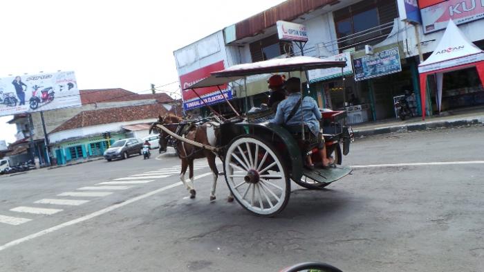 Dokar Masih Menjadi Transportasi Alternatif - Tribun-bali.com