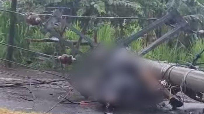 SUARI Tewas Tertimpa Tiang Listrik Roboh, Nyawa Tenaga Kontrak DLH Karangasem Tak Tertolong ...