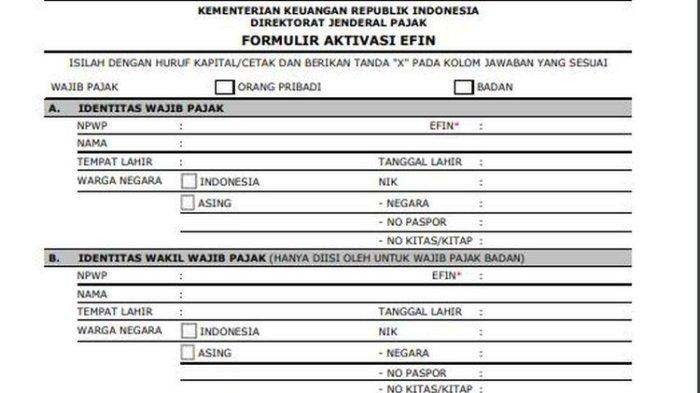 CARA Mudah Mendapatkan EFIN Tanpa ke Kantor Pajak untuk Lapor SPT - Tribun-bali.com