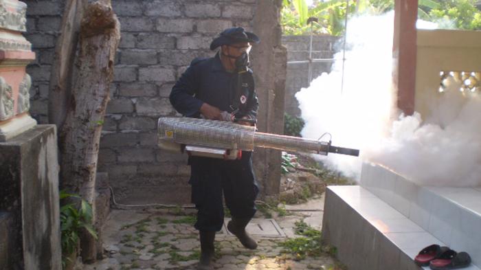 Bagaimana Mengatur Dosis Fogging Agar Nyamuknya Tidak Hanya Pingsan ...