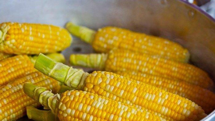 6 Jenis Makanan Pokok Indonesia dan Kandungannya - Tribun-bali.com